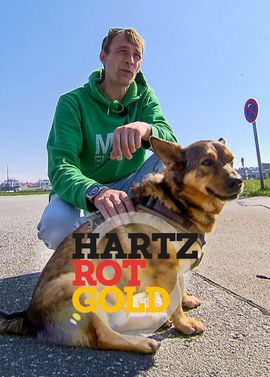 RTL Aktuell in 90 Sekunden im Stream | RTL+