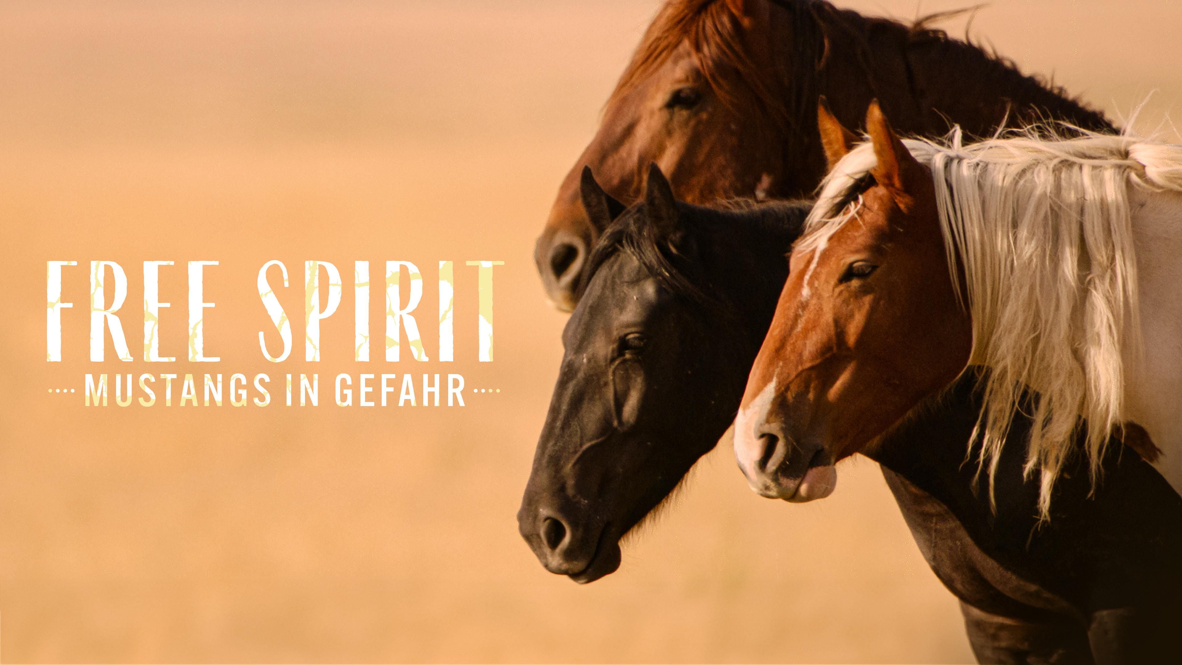 Free Spirit - Mustangs in Gefahr - Filme online anschauen | RTL+