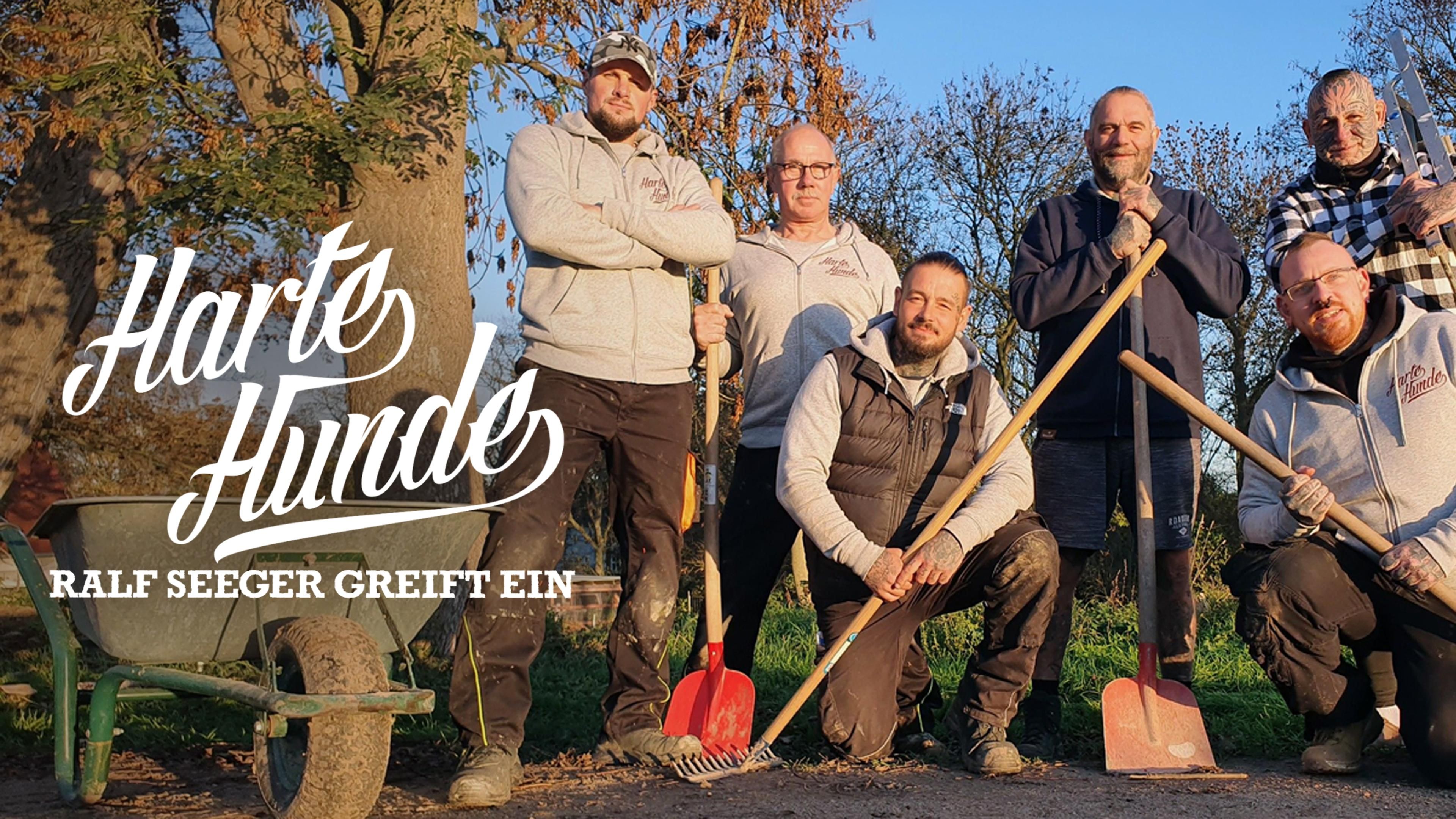 Folge 6 vom 15.02.2025 - Harte Hunde - Ralf Seeger greift ein - Staffel 10 | RTL+