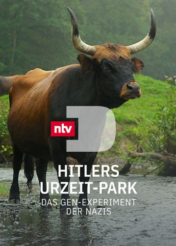 Themenwelten entdecken: Kostenlos und ganz ohne Abo auf RTL+ streamen