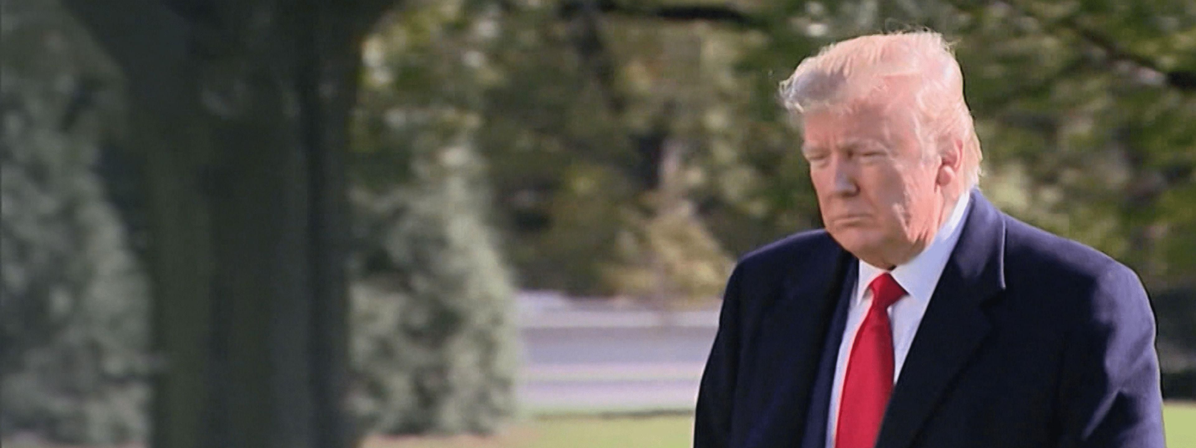 Donald Trump - Dunkle Bilanz - Filme online schauen | RTL+