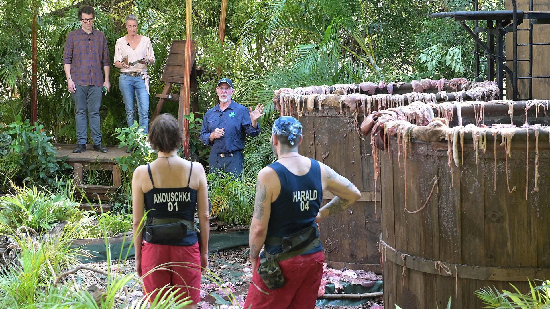 Folge 14 vom 03.02.2022 - Ich bin ein Star - Holt mich hier raus ...