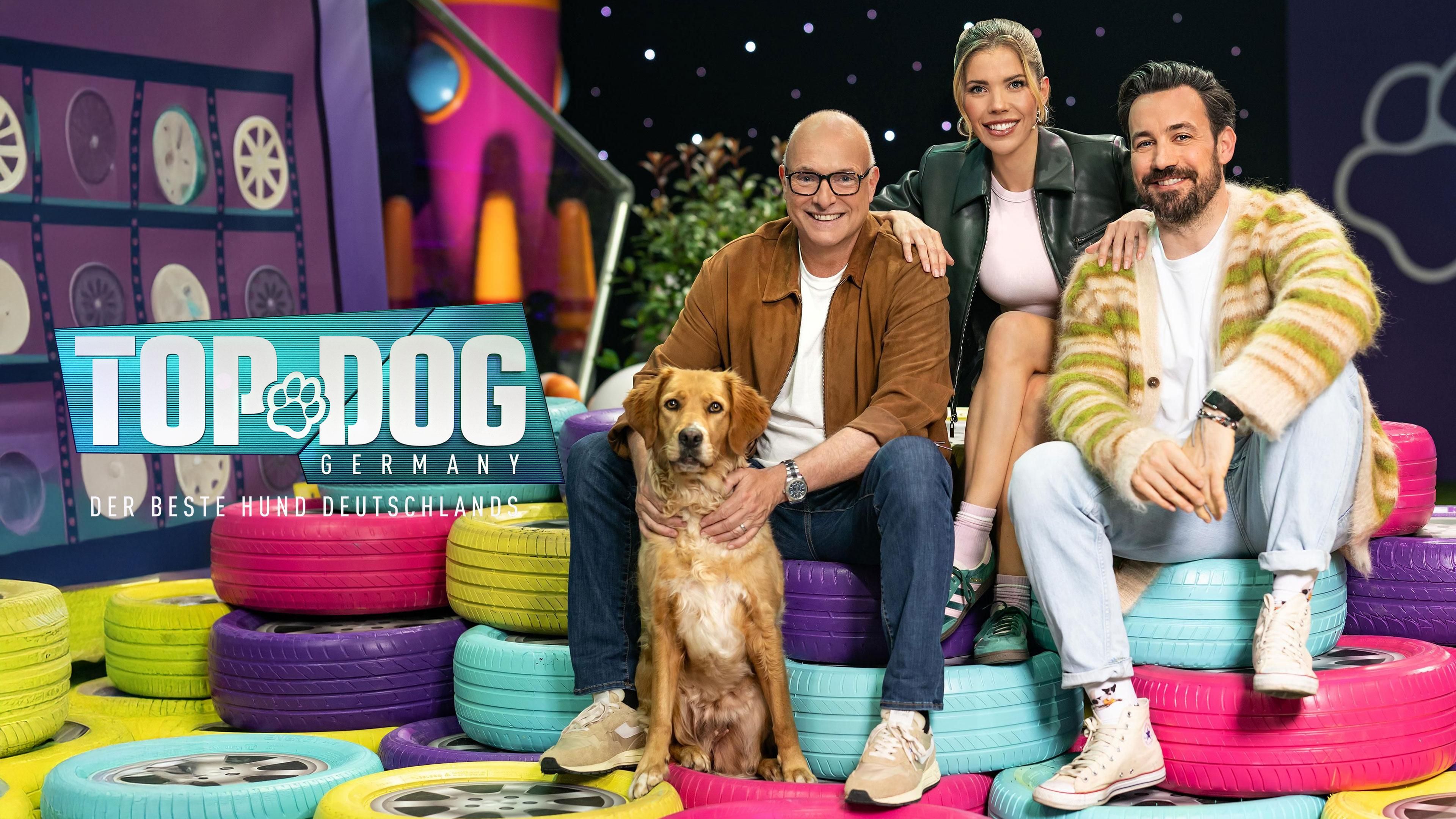 Folge 2 vom 15.08.2025 - Top Dog Germany - Der beste Hund Deutschlands ...