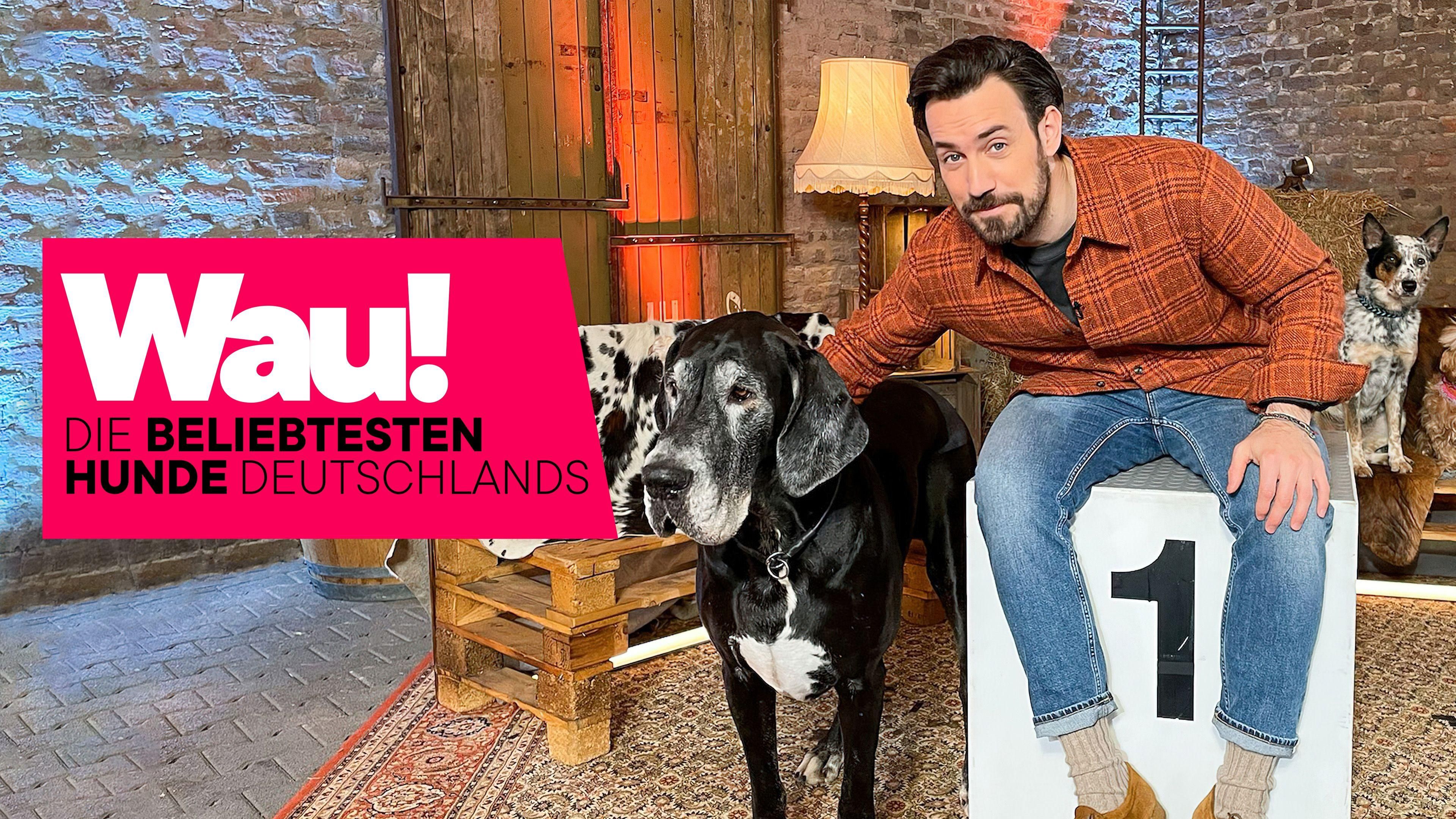 Folge 1 vom 19.02.2023 - Wau! Die beliebtesten Hunde Deutschlands | RTL+