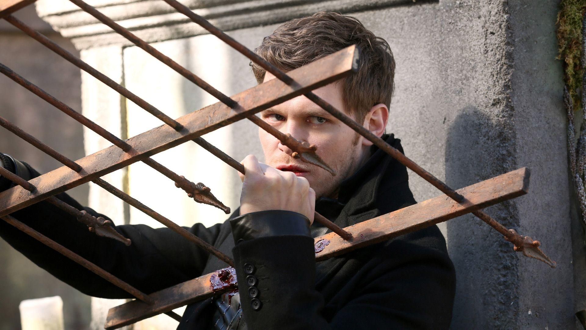 Folge 15 - The Originals - Staffel 2 | RTL+