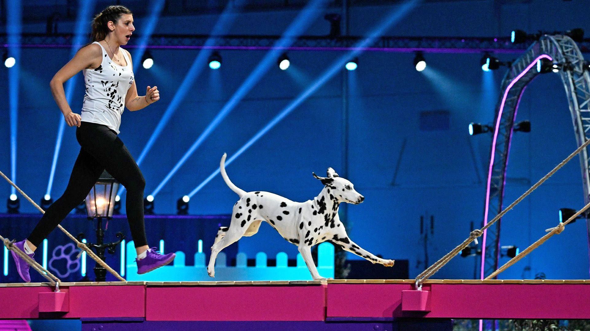 Folge 3 vom 07.07.2023 - Top Dog Germany - Der beste Hund Deutschlands ...