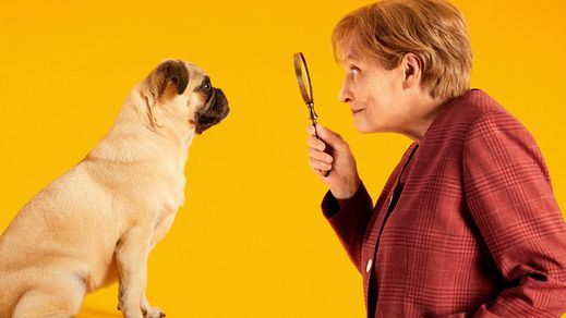 Miss Merkel - Ein Uckermark-Krimi | Filme online streamen | RTL+