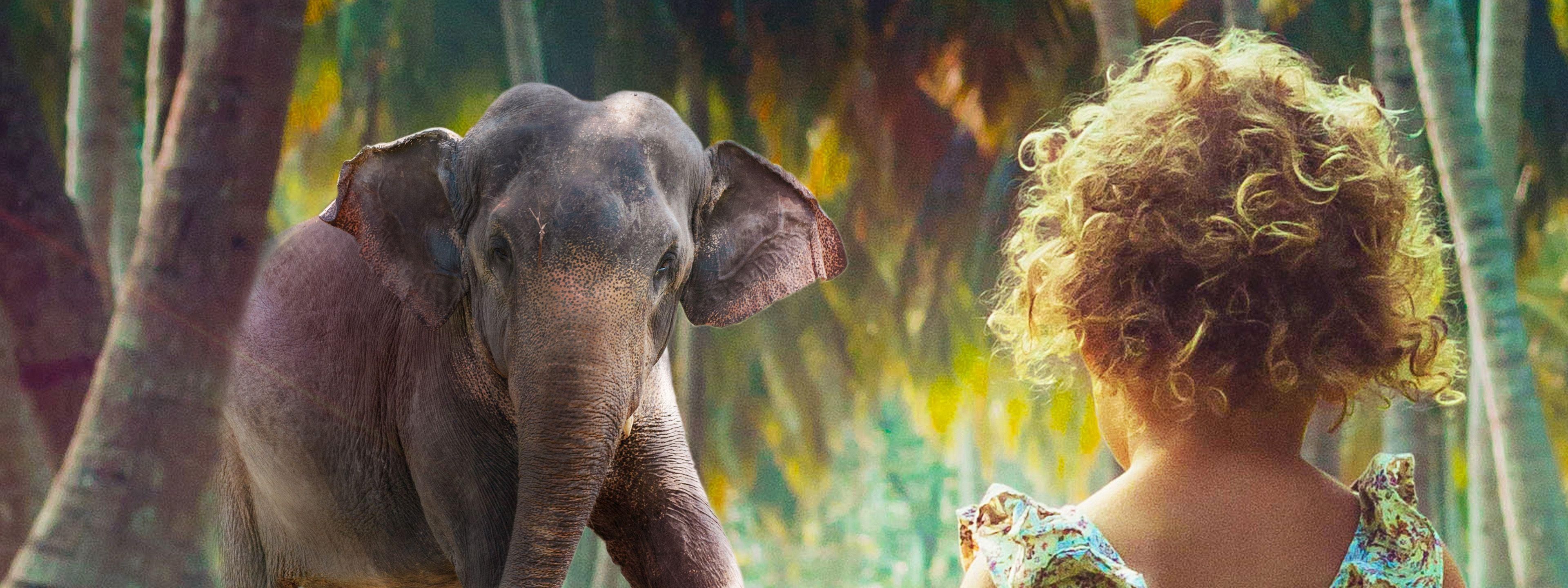 Auf dem Weg - Filme online schauen | RTL+