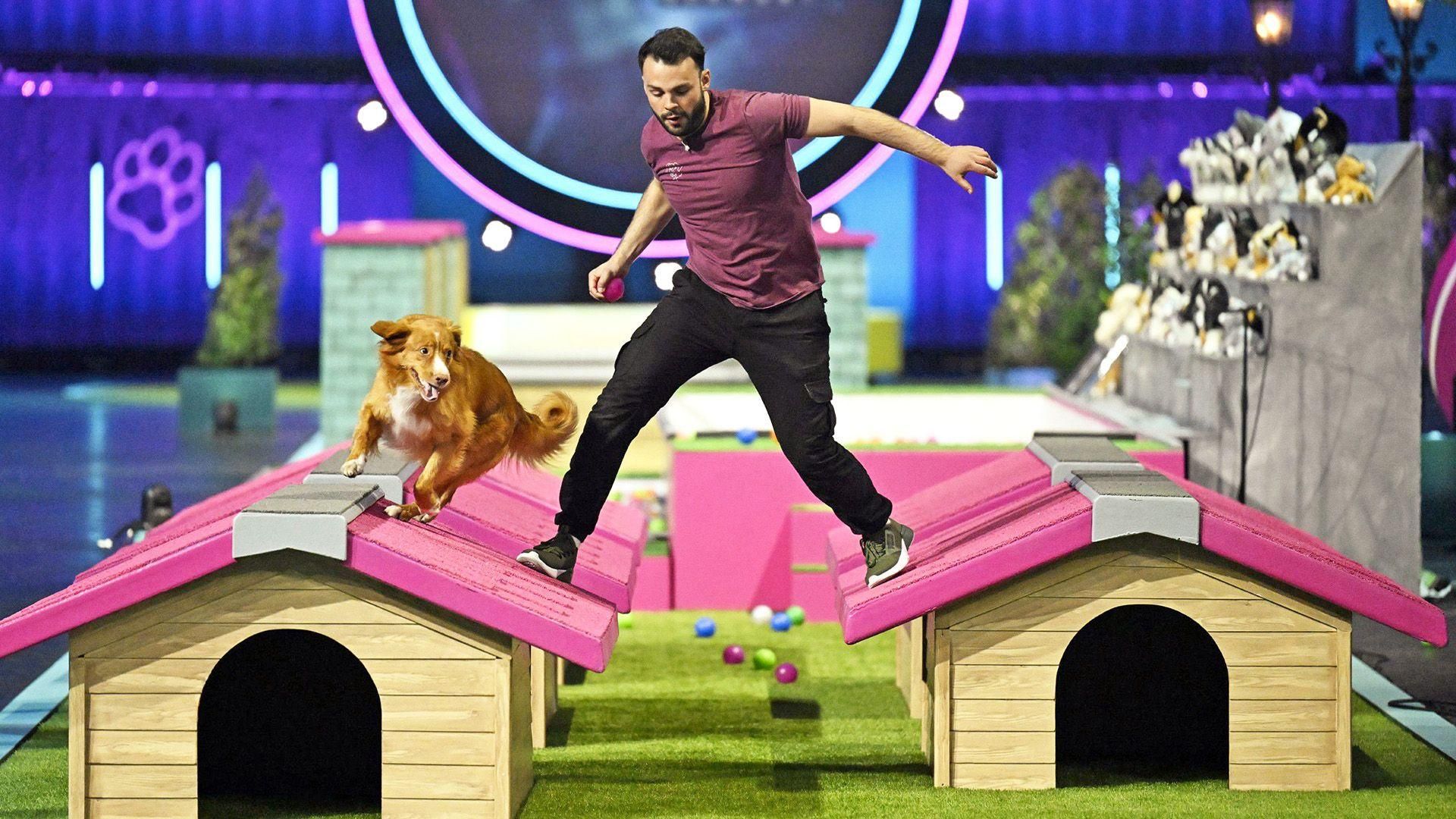 Folge 7 vom 04.08.2023 - Staffel 3 - Top Dog Germany - Der beste Hund ...