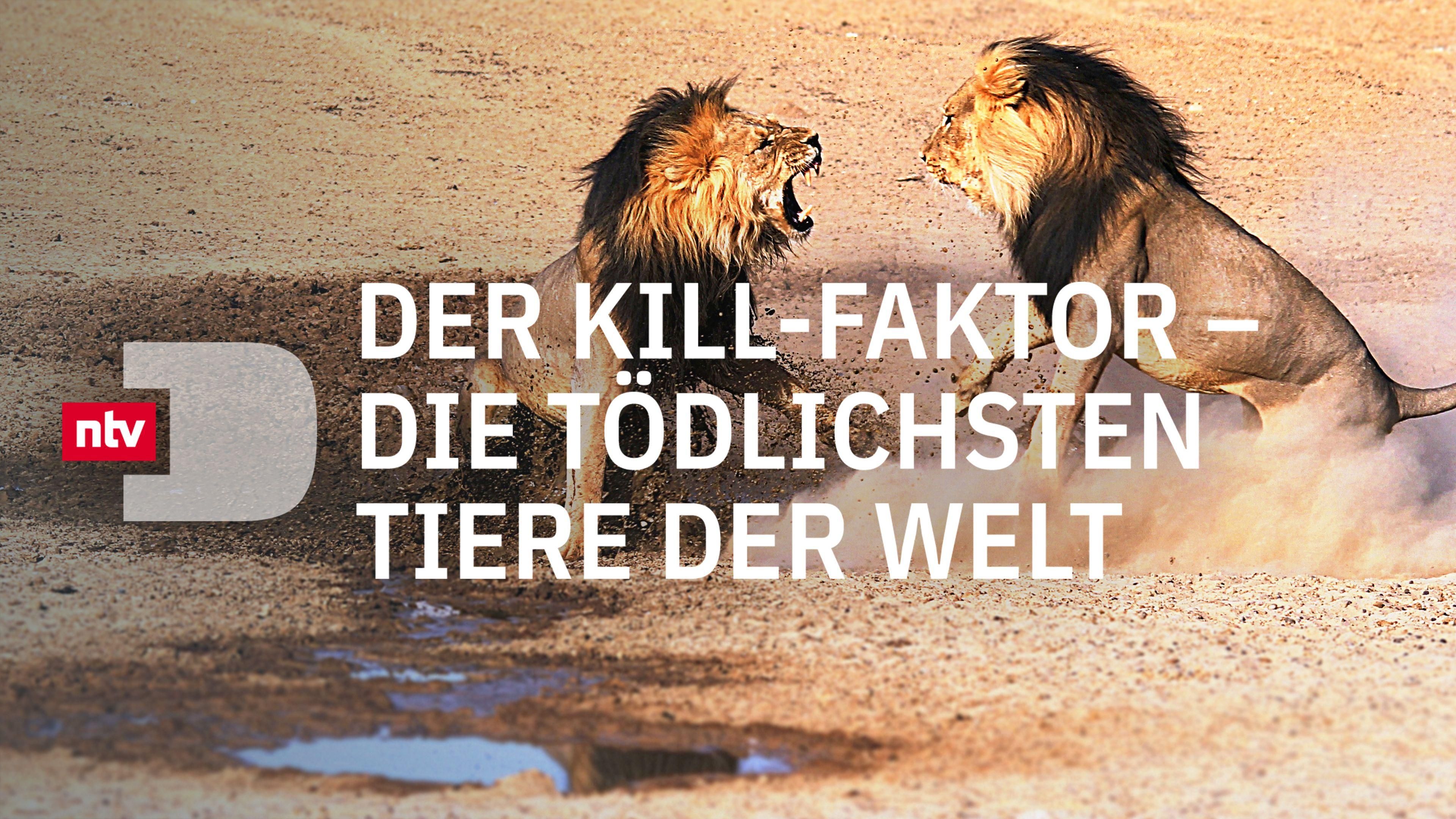 Folge 2 vom 02.09.2023 - Der Kill-Faktor - Die tödlichsten Tiere der Welt - Staffel 1 | RTL+