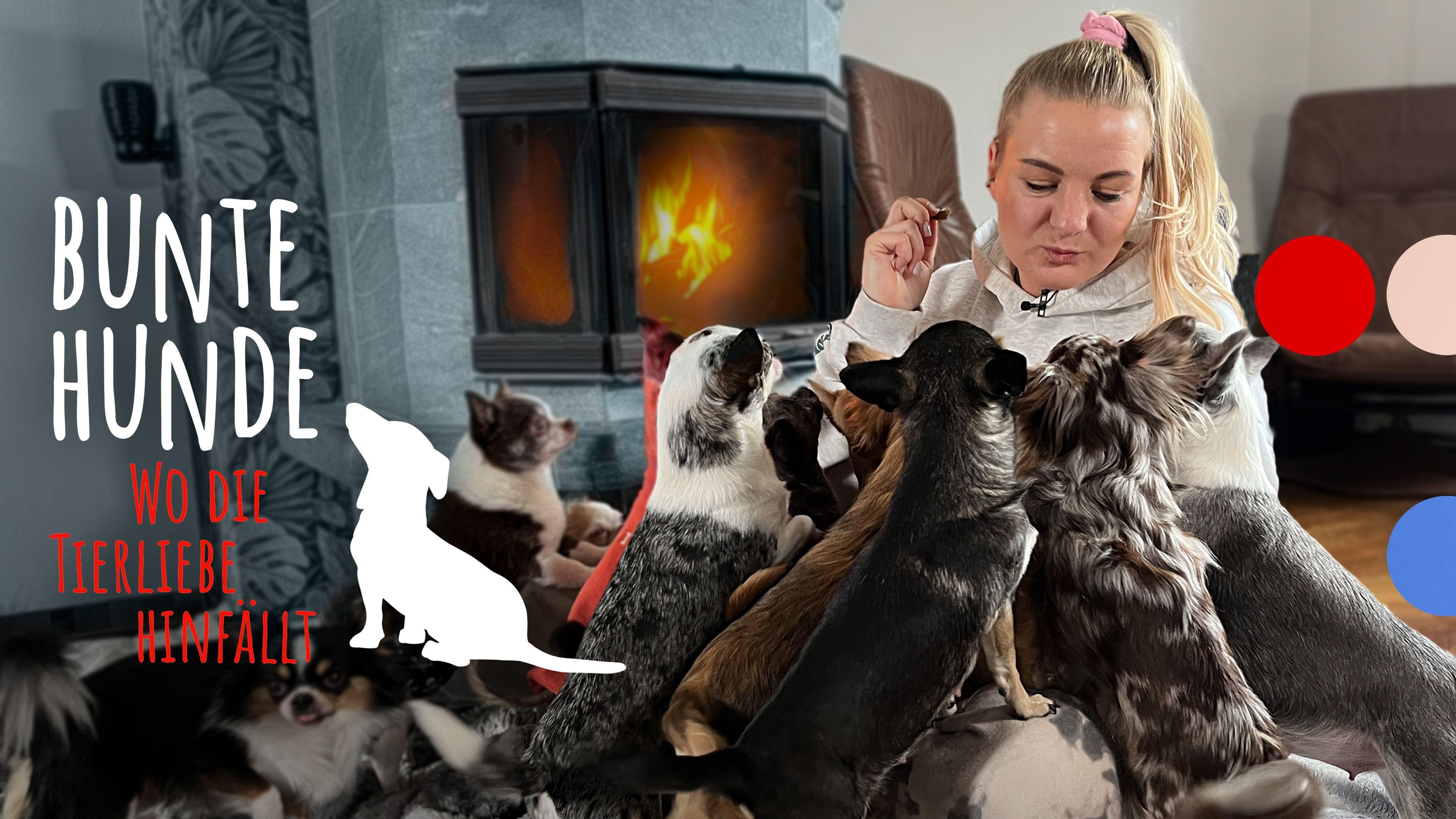 Folge 3 vom 03.06.2023 - Bunte Hunde - Wo die Tierliebe hinfällt - Staffel 1 | RTL+