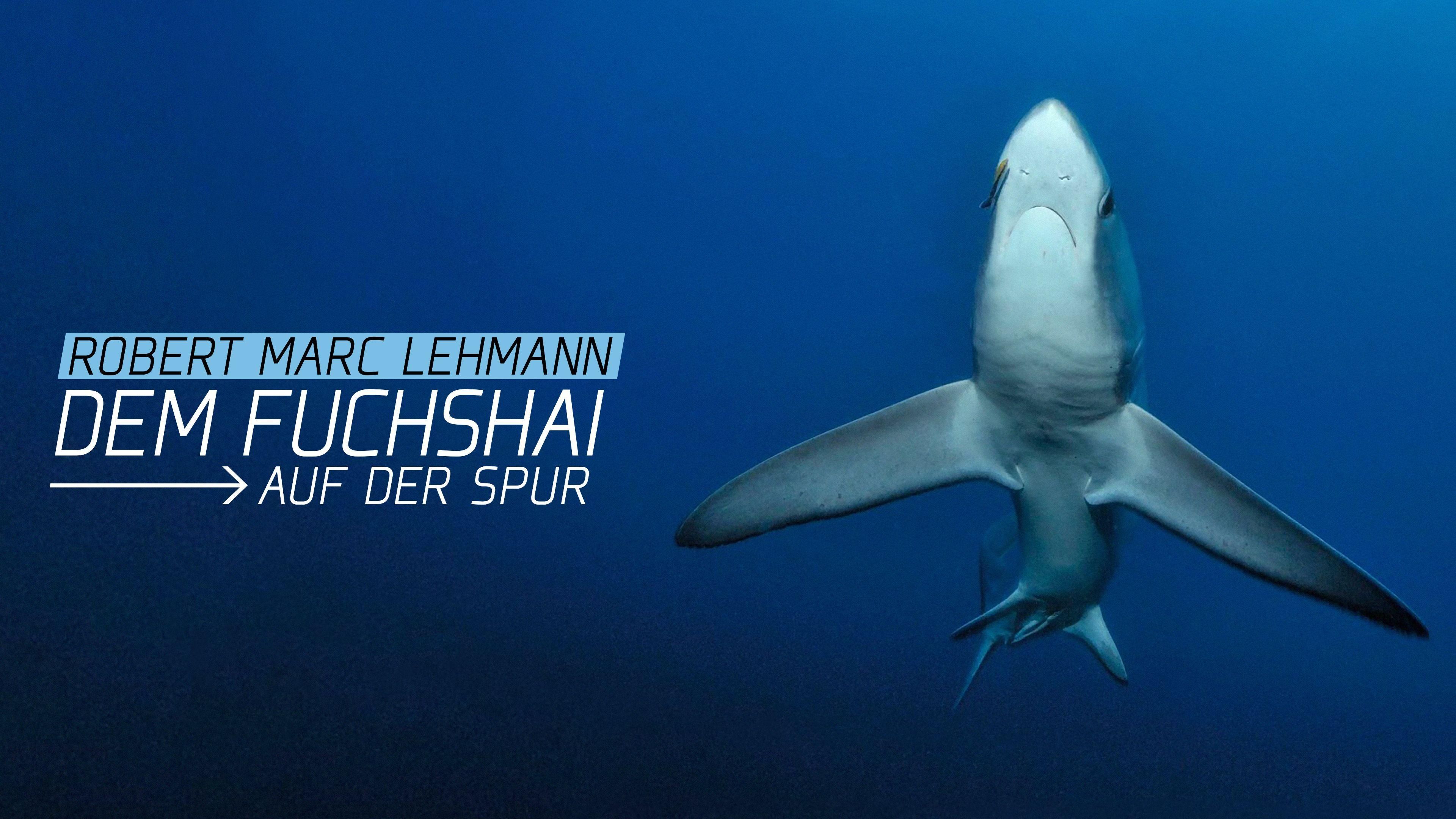 Robert Marc Lehmann: Dem Fuchshai auf der Spur - Filme online schauen ...