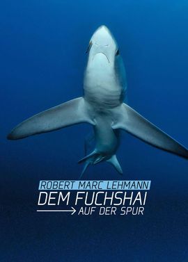 Robert Marc Lehmann: Abenteuer extrem - Filme online schauen | RTL+