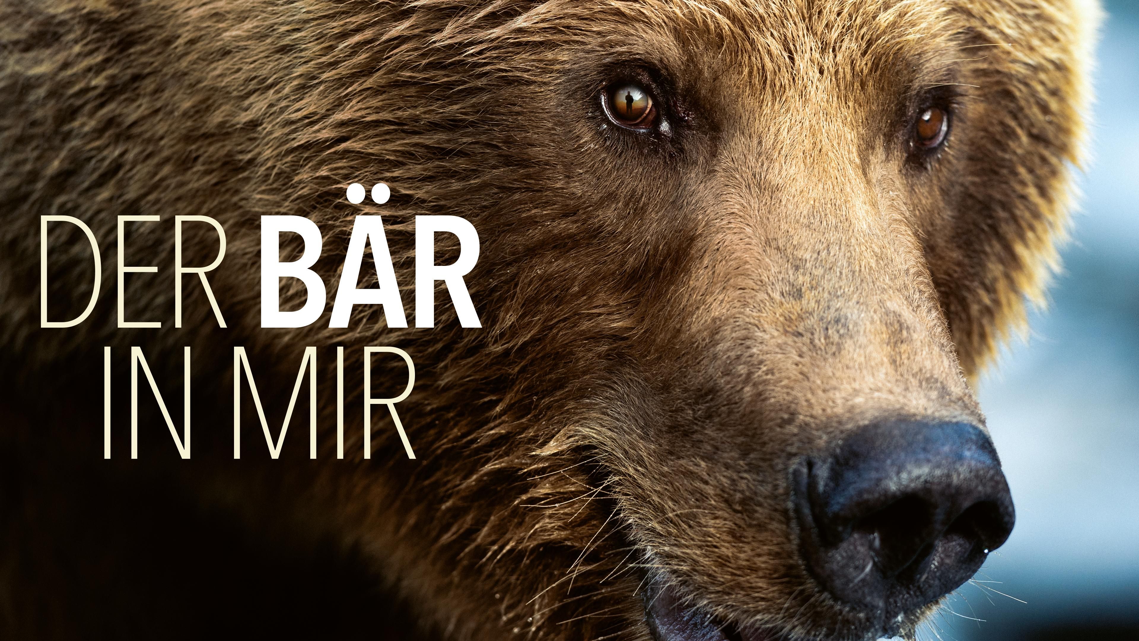 Bär 14 Von 151