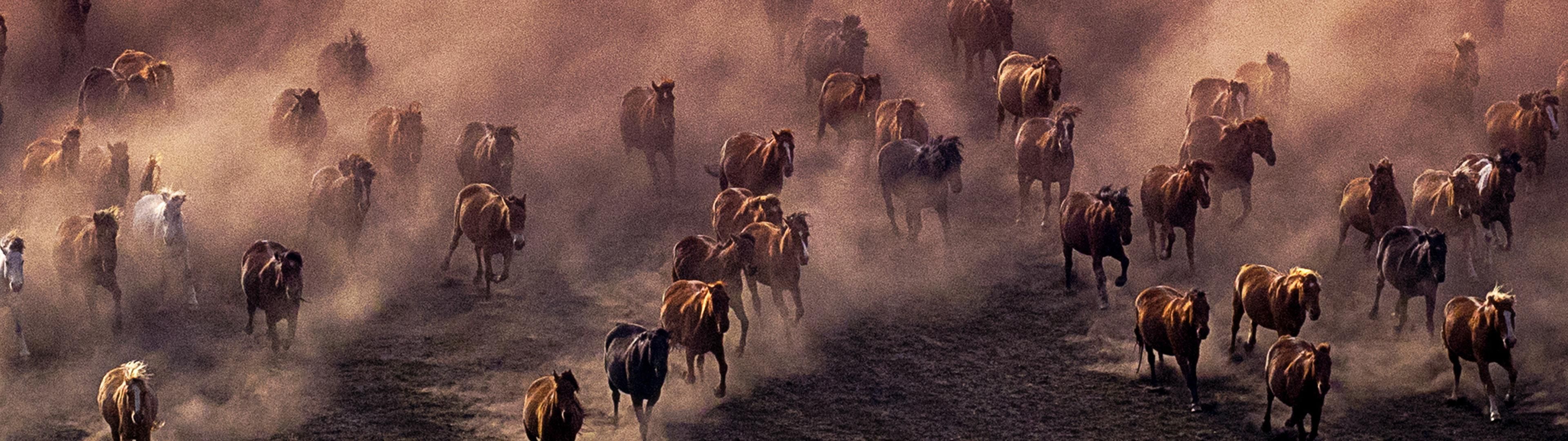 Der Wilde Westen Staffel 1 im Stream | RTL+